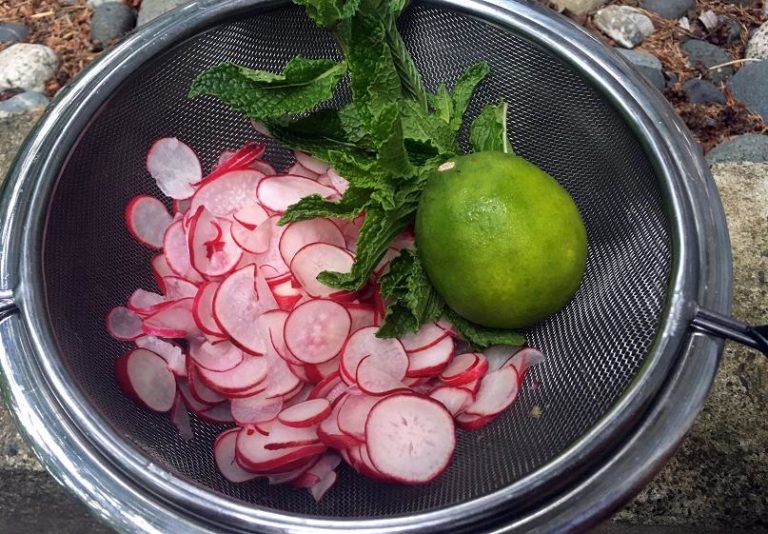 Salted Radish and Mint Salad - Eat | Drink | Breathe
